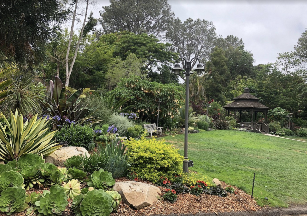 Explore the Encinitas Botanical Gardens | P.S. Platinum
